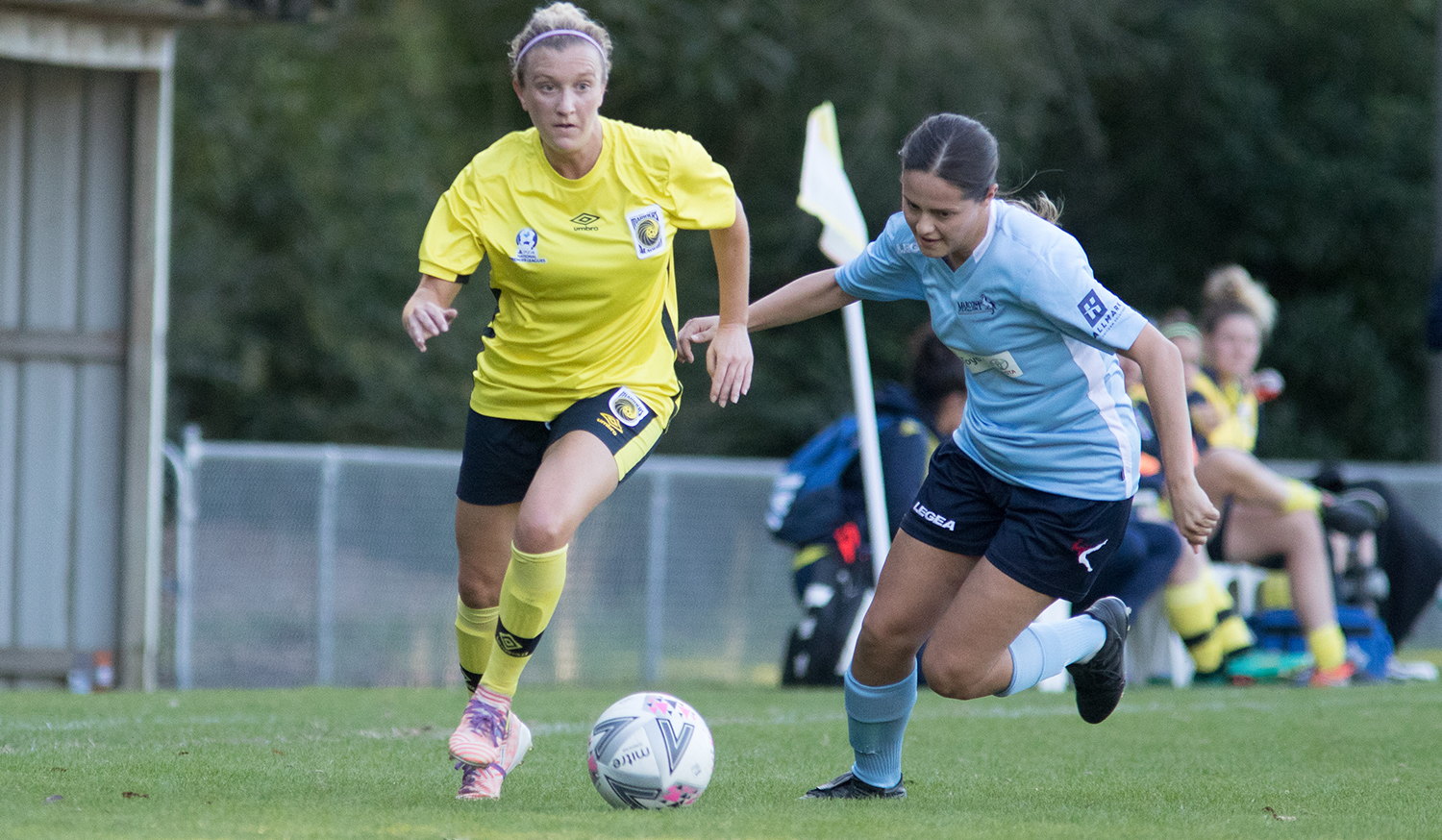Mariners Academy continue impressive form - Central Coast Mariners