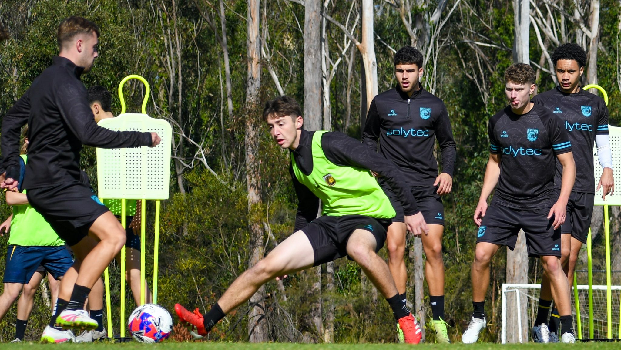 Central Coast Mariners FC News & Updates | A-League